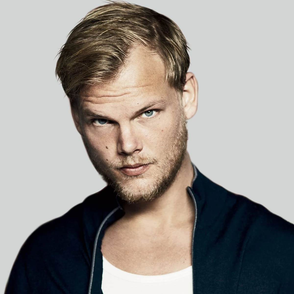 Avicii | Snowtime Wiki | Fandom