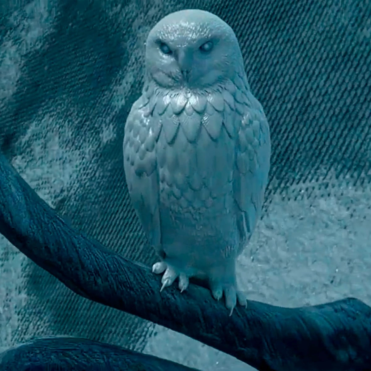 Ice Owl | Snow White and the Huntsman Wiki | Fandom