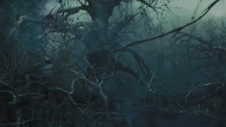 Dark Forest | Snow White and the Huntsman Wiki | Fandom