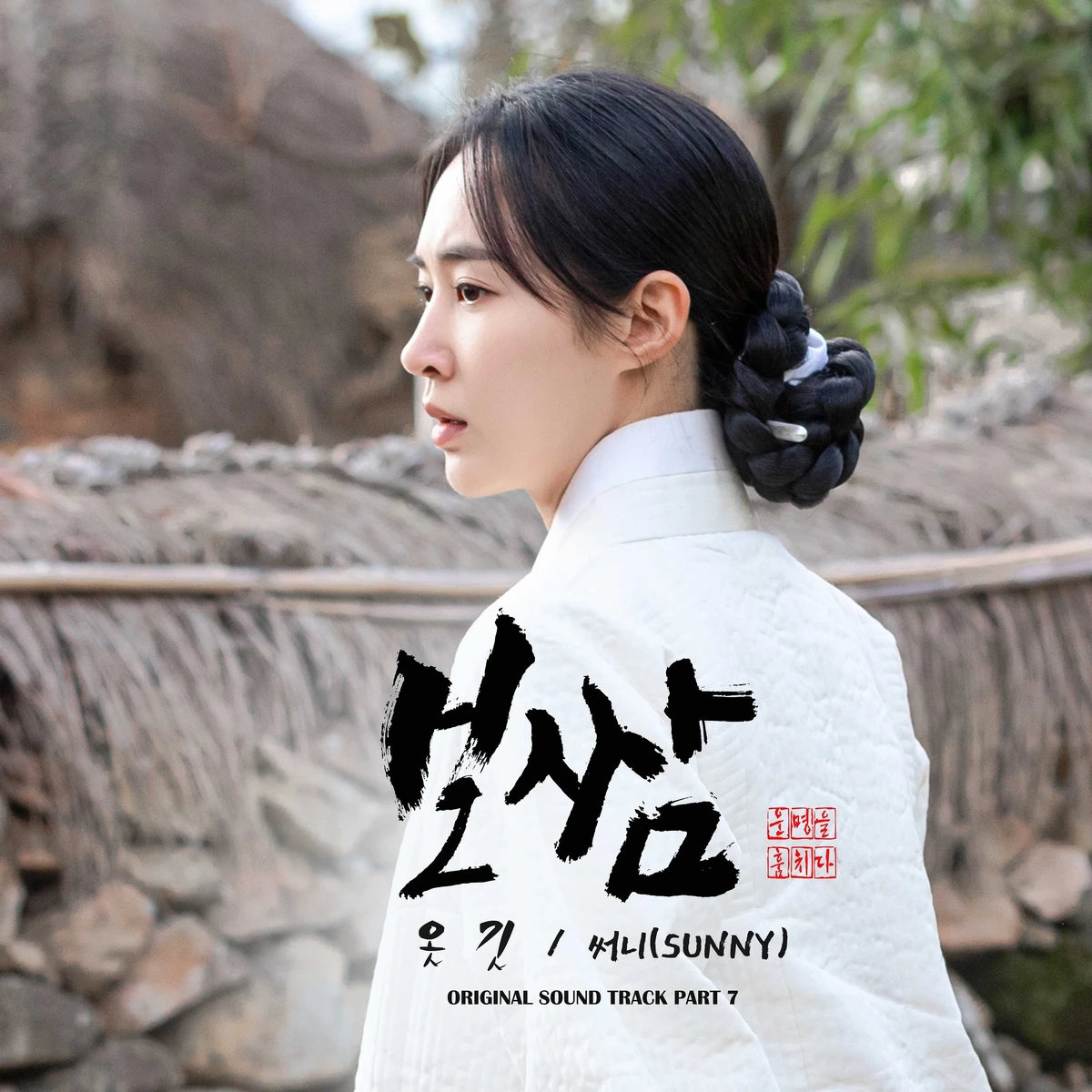 Bossam-Steal the Fate OST Part.7 | Girls' Generation Wiki | Fandom