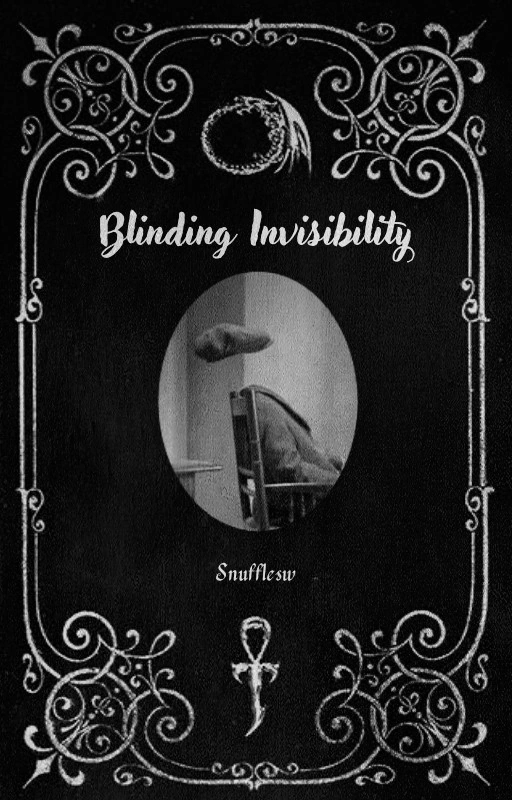 Blinding Invisibility | Snufflesw Wiki | Fandom