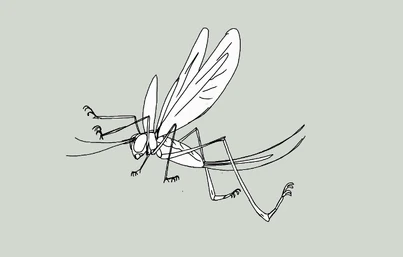 Flying Cricket | Sobek: an Iguana's Paradice Wiki | Fandom