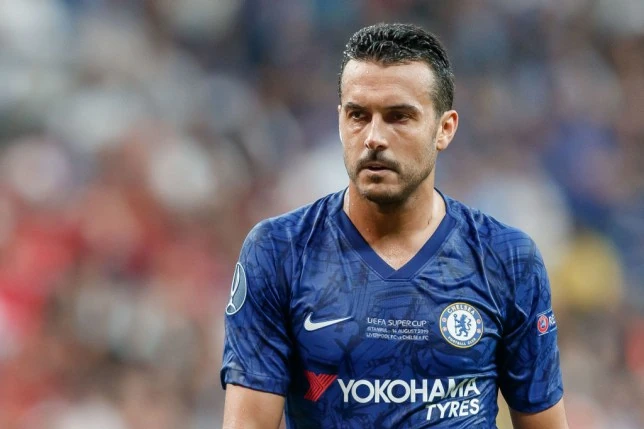 Pedro | Soccer World Wiki | Fandom