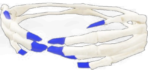 Collars | Social Experiment Wiki | Fandom