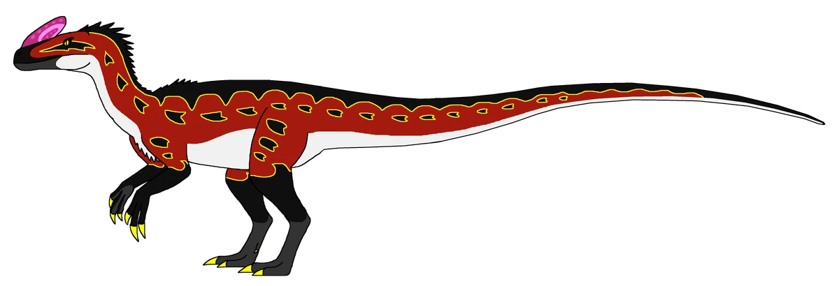 Cyndra | Society of Skrubbery Wiki | Fandom