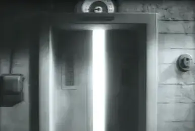 Shira Roth Tower Of Terror