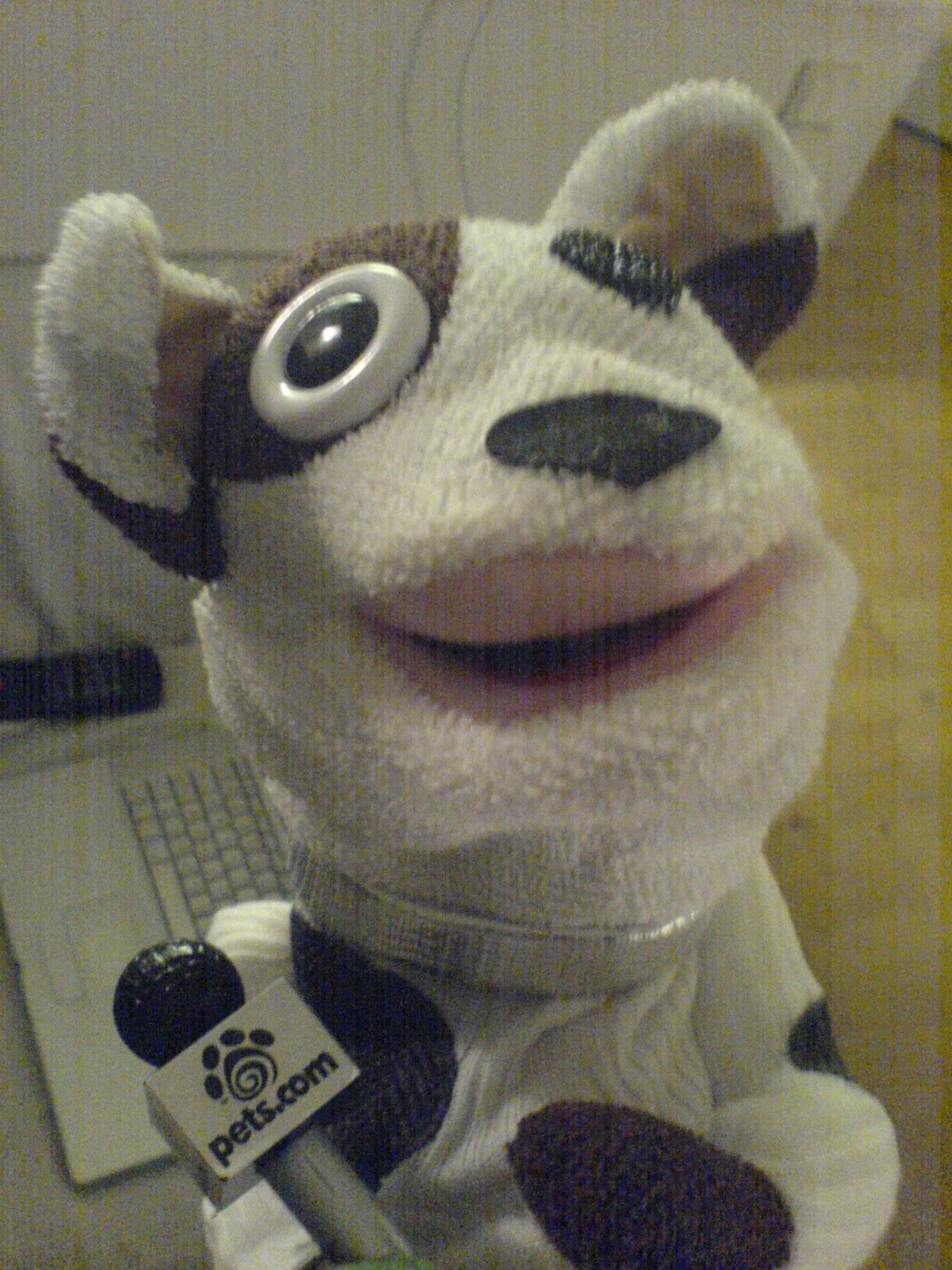 The Pets.com sock puppet | Sockpuppet Wiki | Fandom
