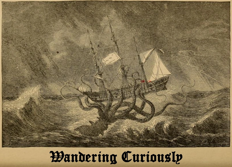 Wandering Curiously | Sockpuppet Wiki | Fandom