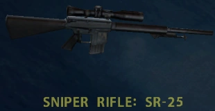 SR-25 | SOCOM Wiki | Fandom