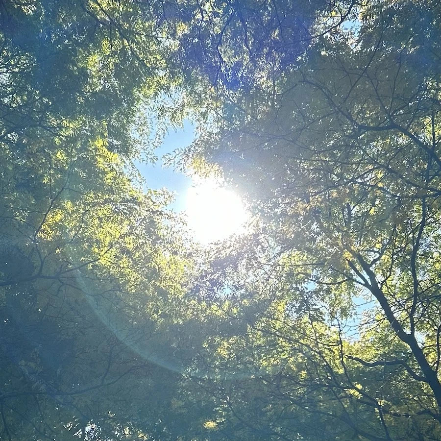 Discuss Everything About a-keyy Wiki | Fandom