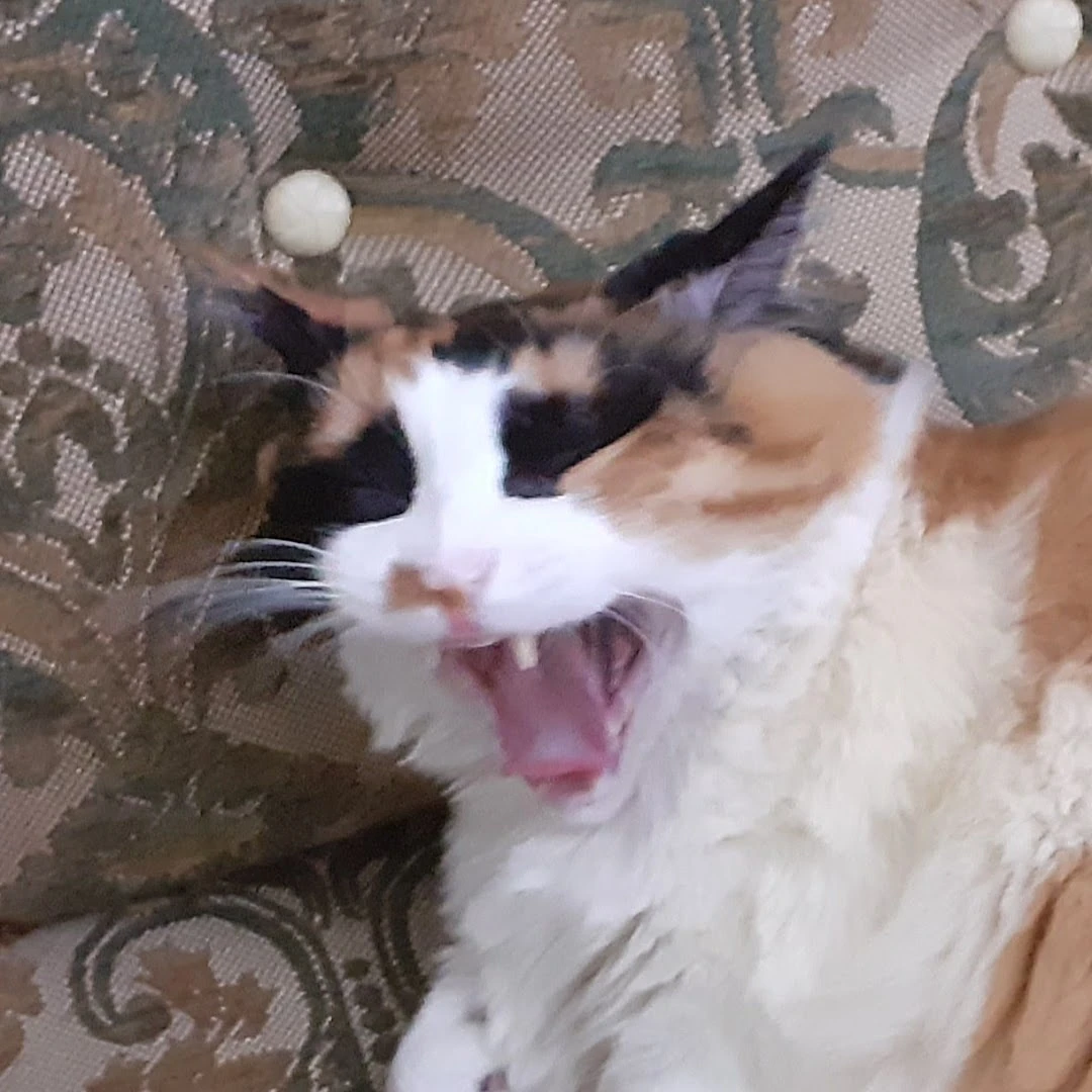 Rexecutions | Sodor Then & Now Wiki | Fandom