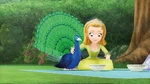 Scrambled Pets | Sofia the First Wiki | Fandom