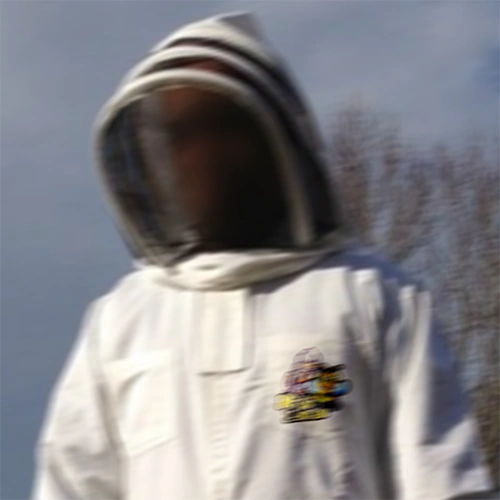 Rob Bees | SofowoLIVE creature collection Wiki | Fandom