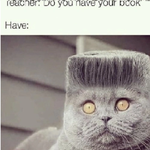 Have: | SofowoLIVE creature collection Wiki | Fandom