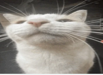 Loft | Soft Wiki | Fandom