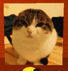 Wawa | Soft Wiki | Fandom