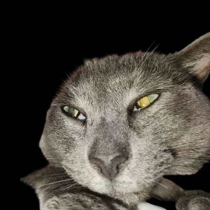 Slightly darker grey soft | Soft Wiki | Fandom