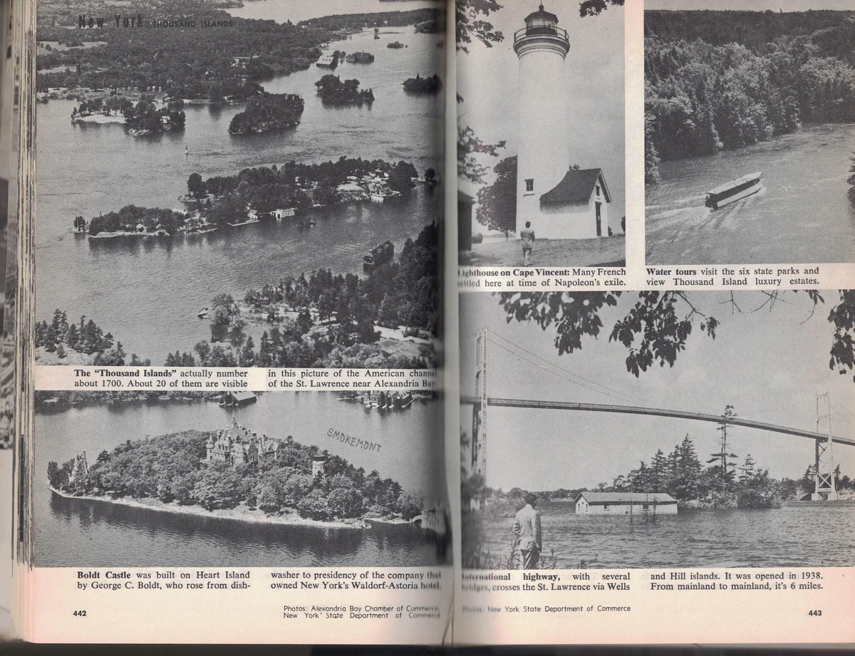 Page 442 | So Joana Book Wiki | Fandom