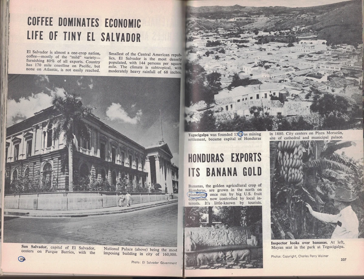 Page 336 and Page 337 | So Joana Book Wiki | Fandom