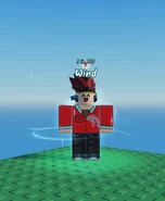 Wind | Sol's RNG Wiki | Fandom