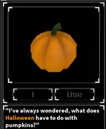 Pumpkin | Sol's RNG Wiki | Fandom