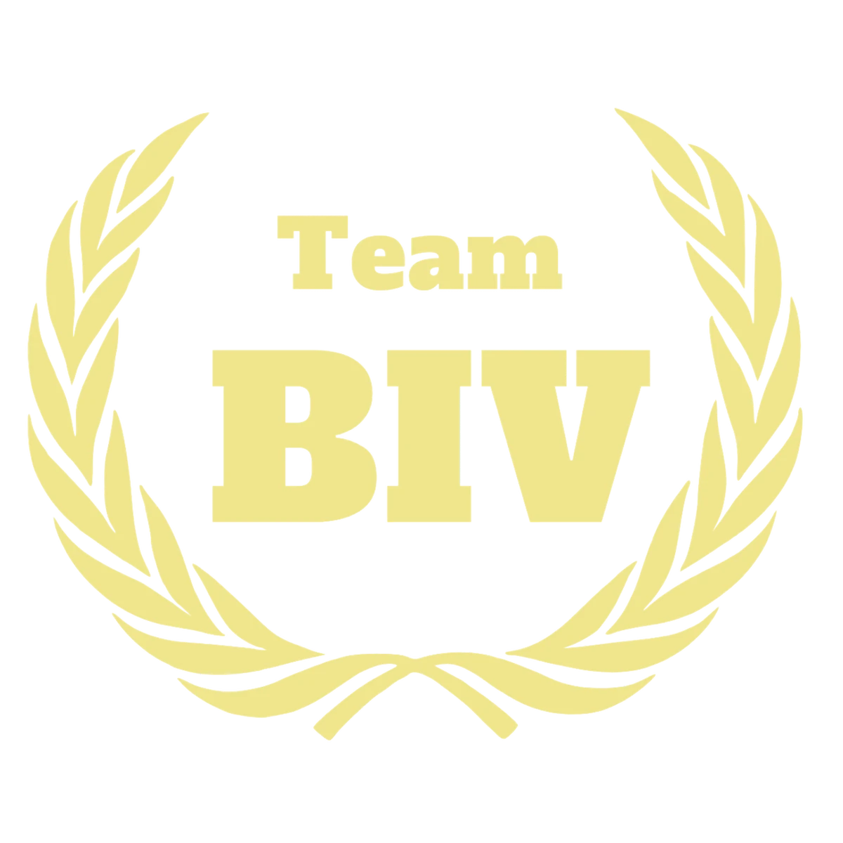 BSN48 Team BIV | SOL48 Wiki | Fandom