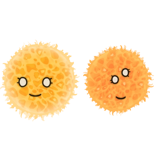 Bessel's Star binary system | SolarBalls Fanon Wiki | Fandom