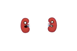 Human Buddy Characters | SolarBalls Wiki | Fandom