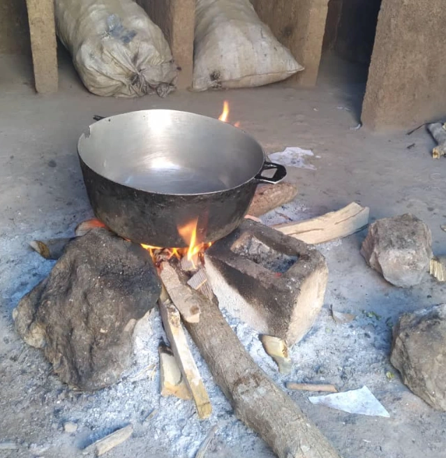 Tom Hallquist | Solar Cooking | Fandom