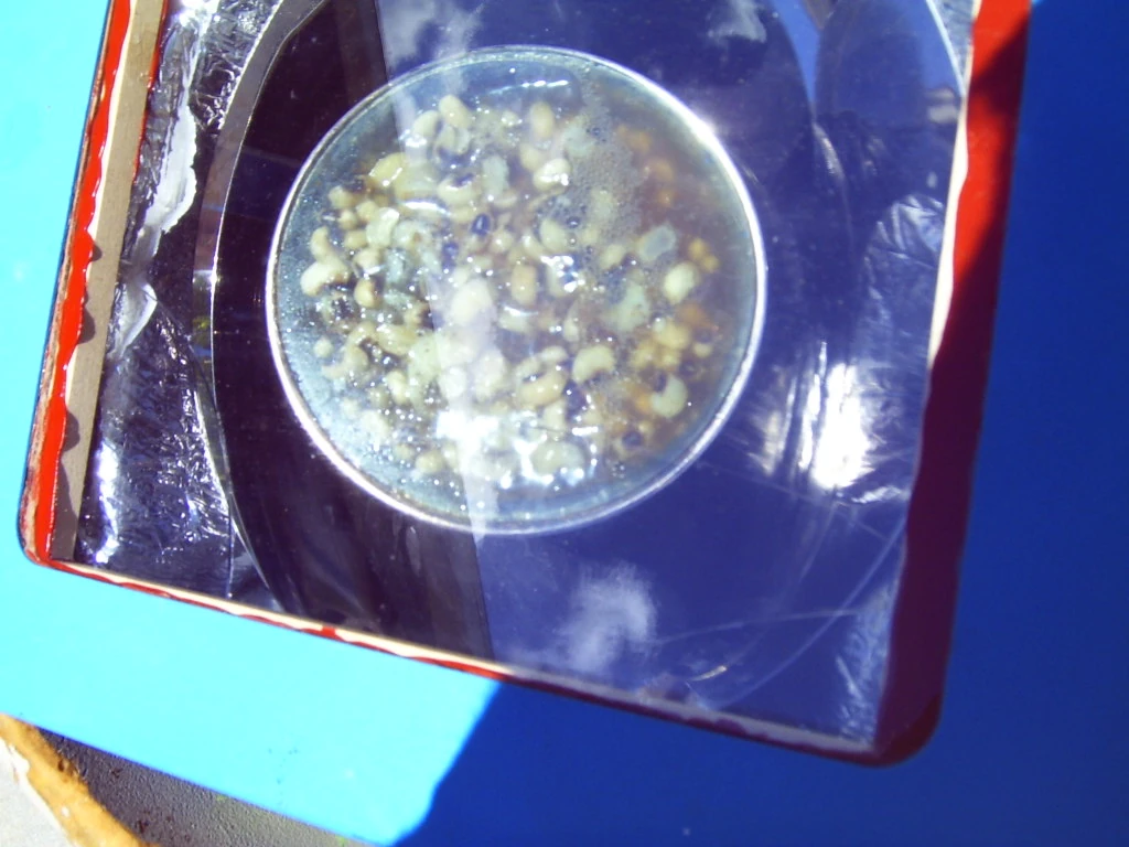 Vegetables | Solar Cooking | Fandom