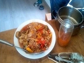 Solar PV Cooker | Solar Cooking | Fandom