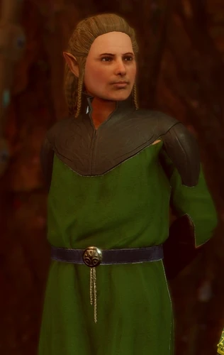 Ael Brightheart | Solasta: Crown of the Magister Wiki | Fandom