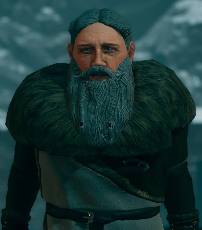 Valdi Boldhand | Solasta: Crown of the Magister Wiki | Fandom