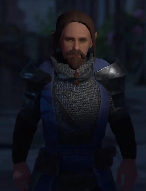 Stig | Solasta: Crown of the Magister Wiki | Fandom
