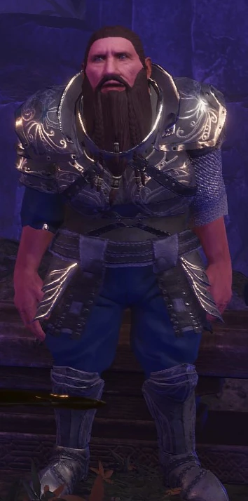 Brodir Steelheart | Solasta: Crown of the Magister Wiki | Fandom