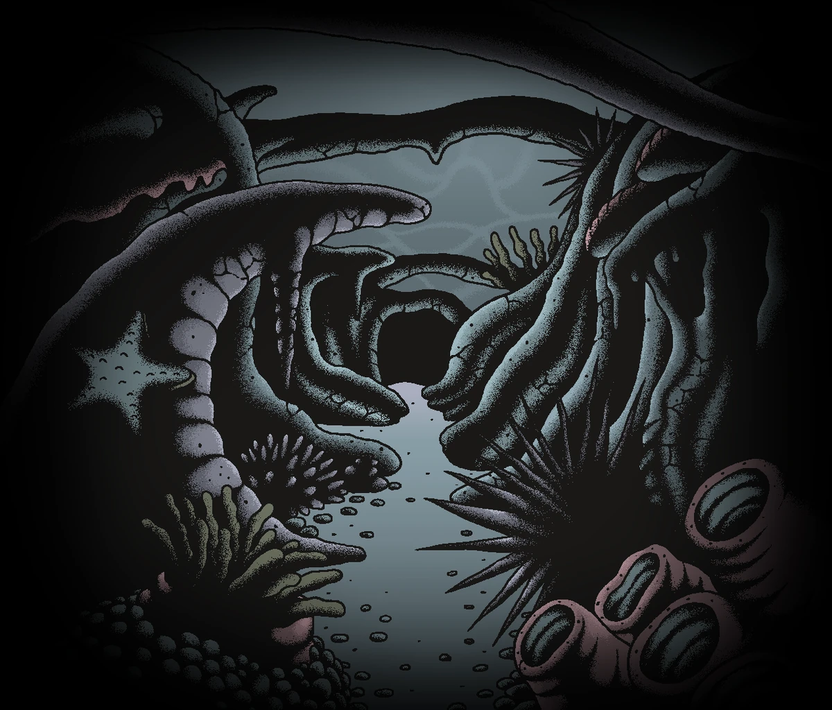 Океан | Sol Cesto Вики | Fandom