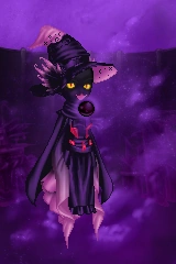 Avatar Face Off | Solia Online Wiki | Fandom