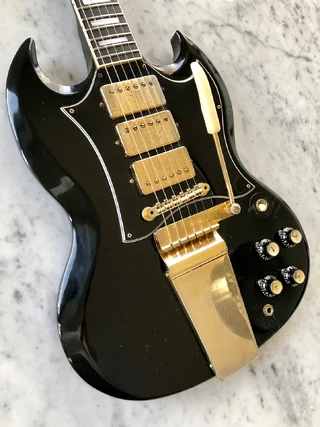 SG Custom | SG Wiki | Fandom