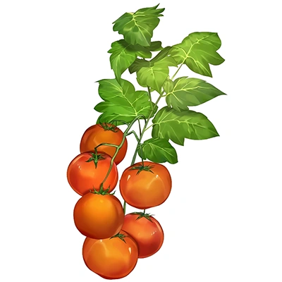 Magic Cherry Tomato | The Top Dungeon Farmer Wiki | Fandom