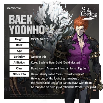 Baek Yoonho | Solo Leveling: ARISE Wiki | Fandom
