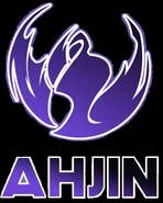 Ahjin Guild | Solo Leveling Wiki | Fandom