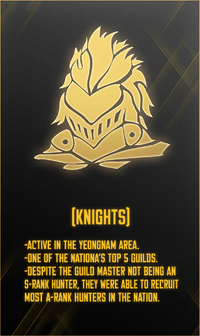 Knights Guild | Solo Leveling Wiki | Fandom
