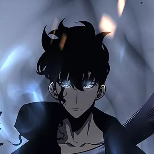 Sung Jin-Woo/Galerie d'Images | Wiki Solo Leveling | Fandom