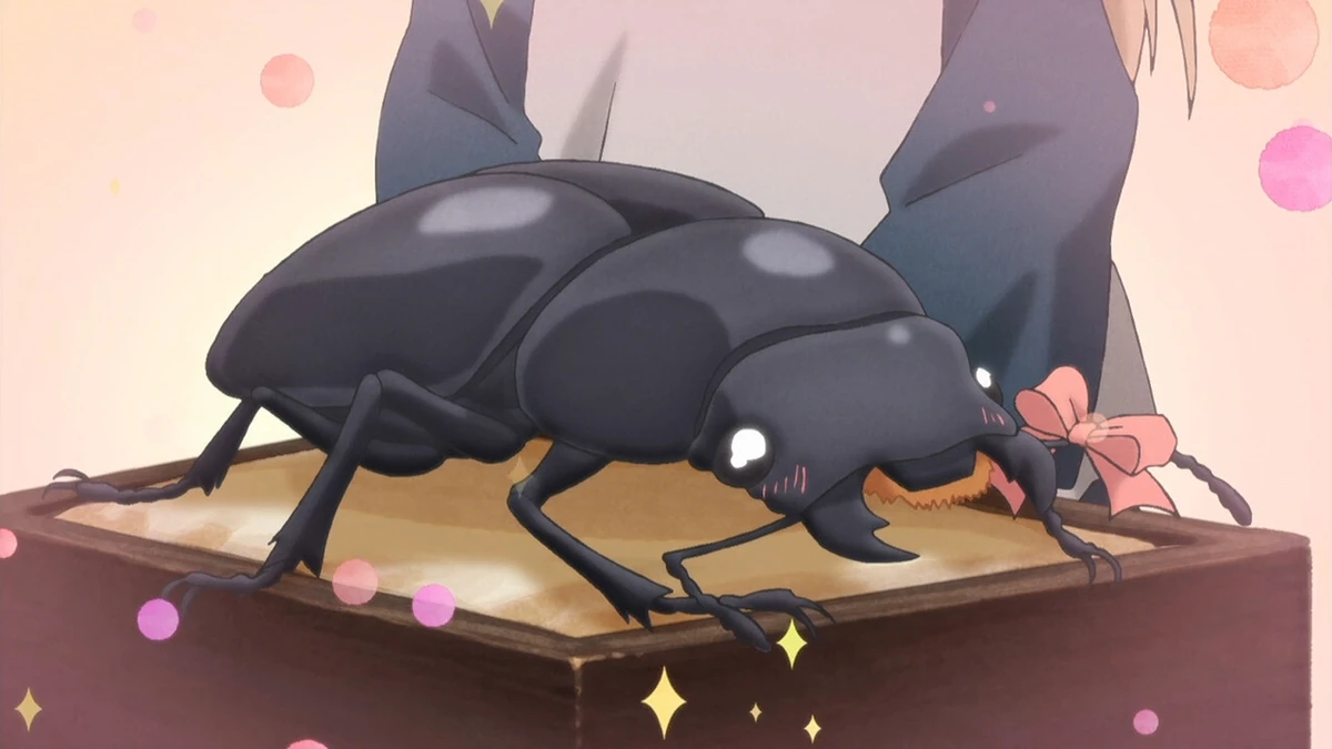 Mushi Mushi no Mi, модель: Кабутомуши | Solum Вики | Fandom