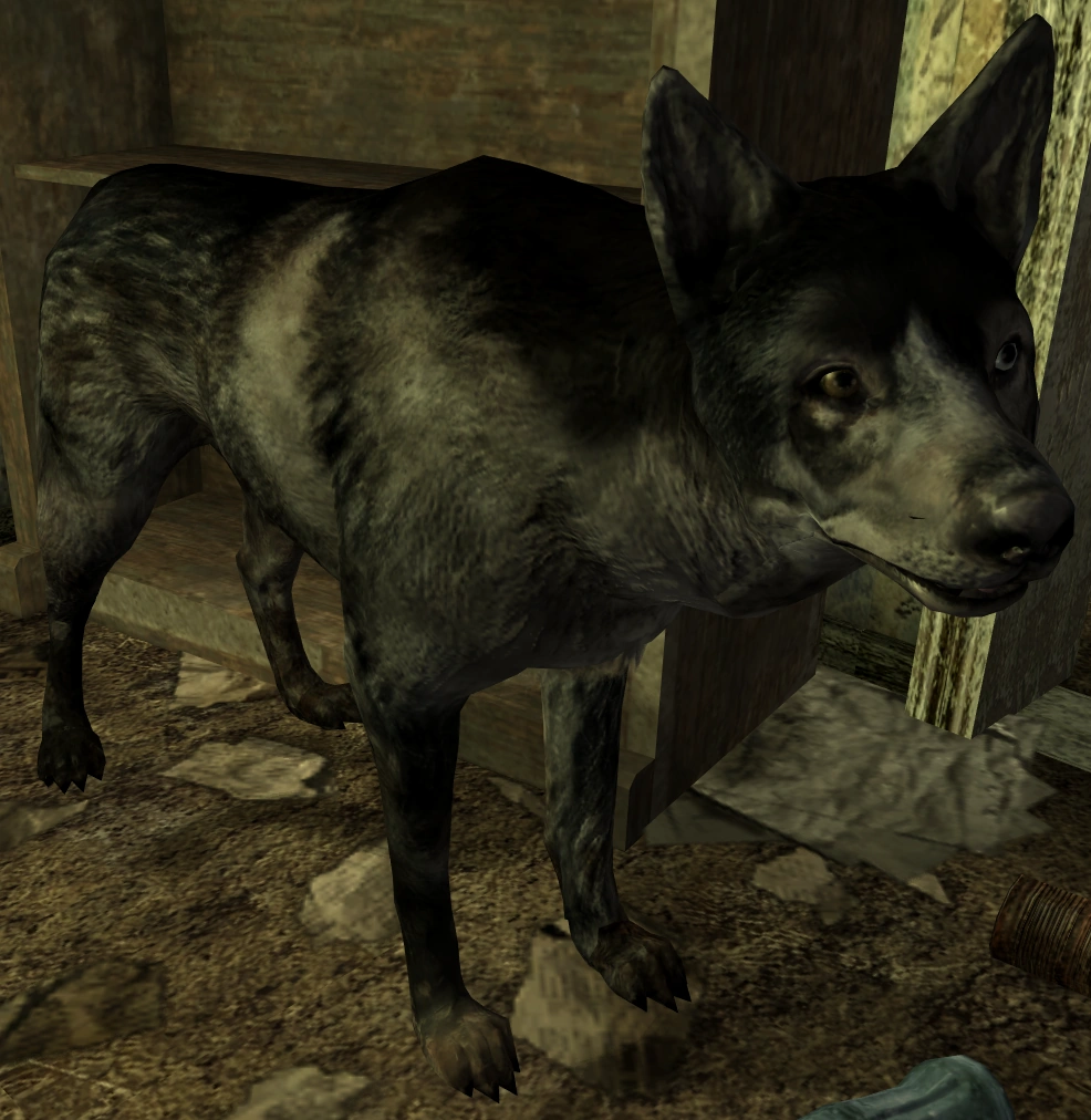 Jon | Someguy2000 Wikia | Fandom