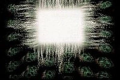 Tool Aenima