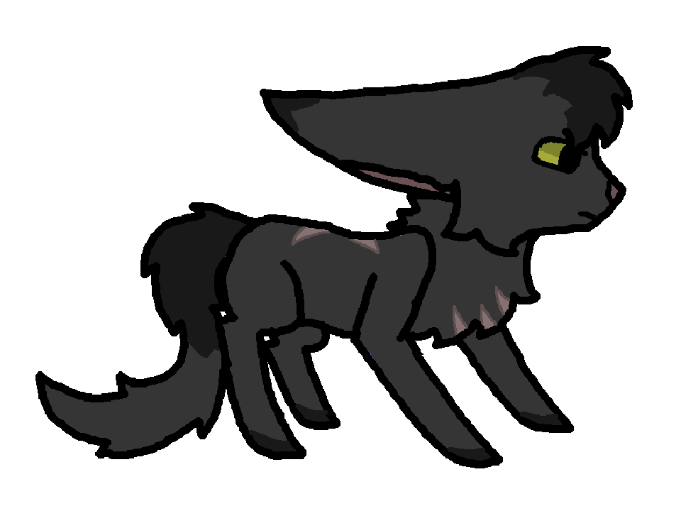 Stormscratch | SongOwl's Oc's Wiki | Fandom