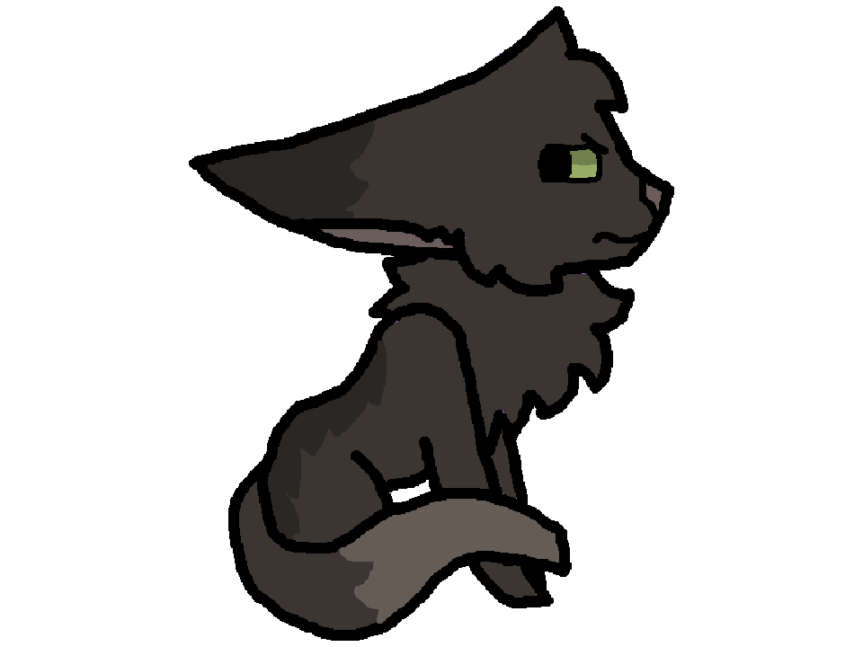 Stormfeather | SongOwl's Oc's Wiki | Fandom