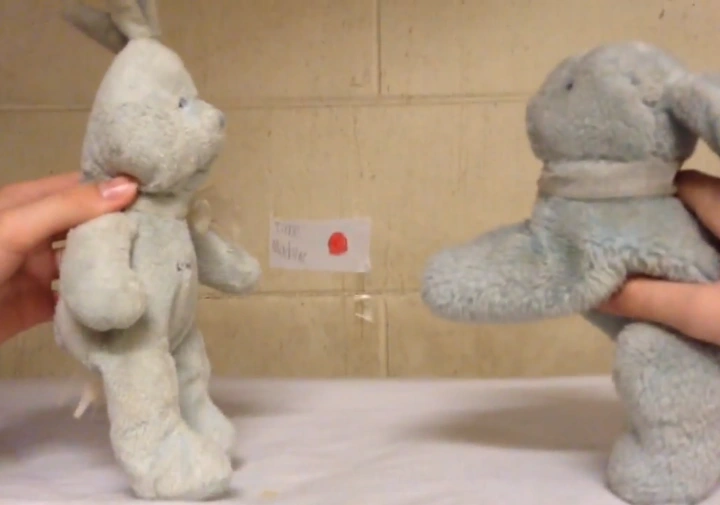 Rabbit Robots | Sonic Adventure (Ridiculous Edition) Wiki | Fandom