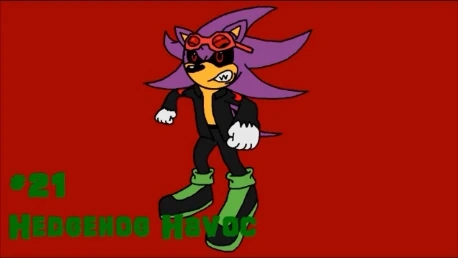 Hedgehog Havoc | Sonic Adventures Animated Series Wiki | Fandom